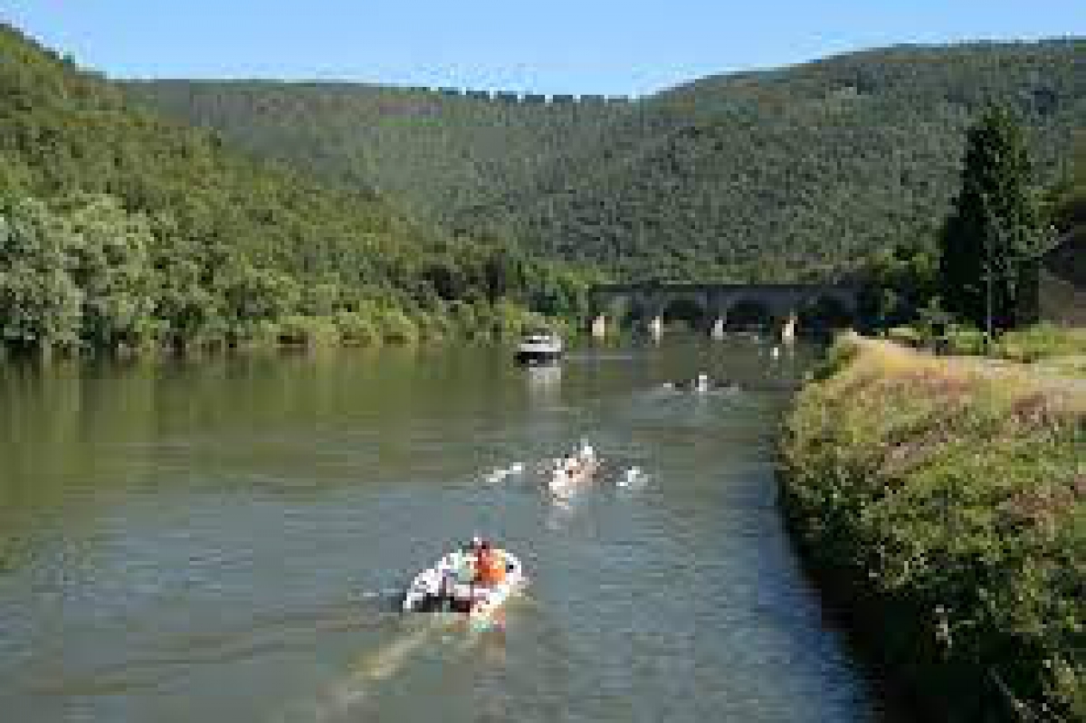 Radio 8 Ardennes | Randonnée des Citadelles à l’Aviron de Sedan à Namur ...
